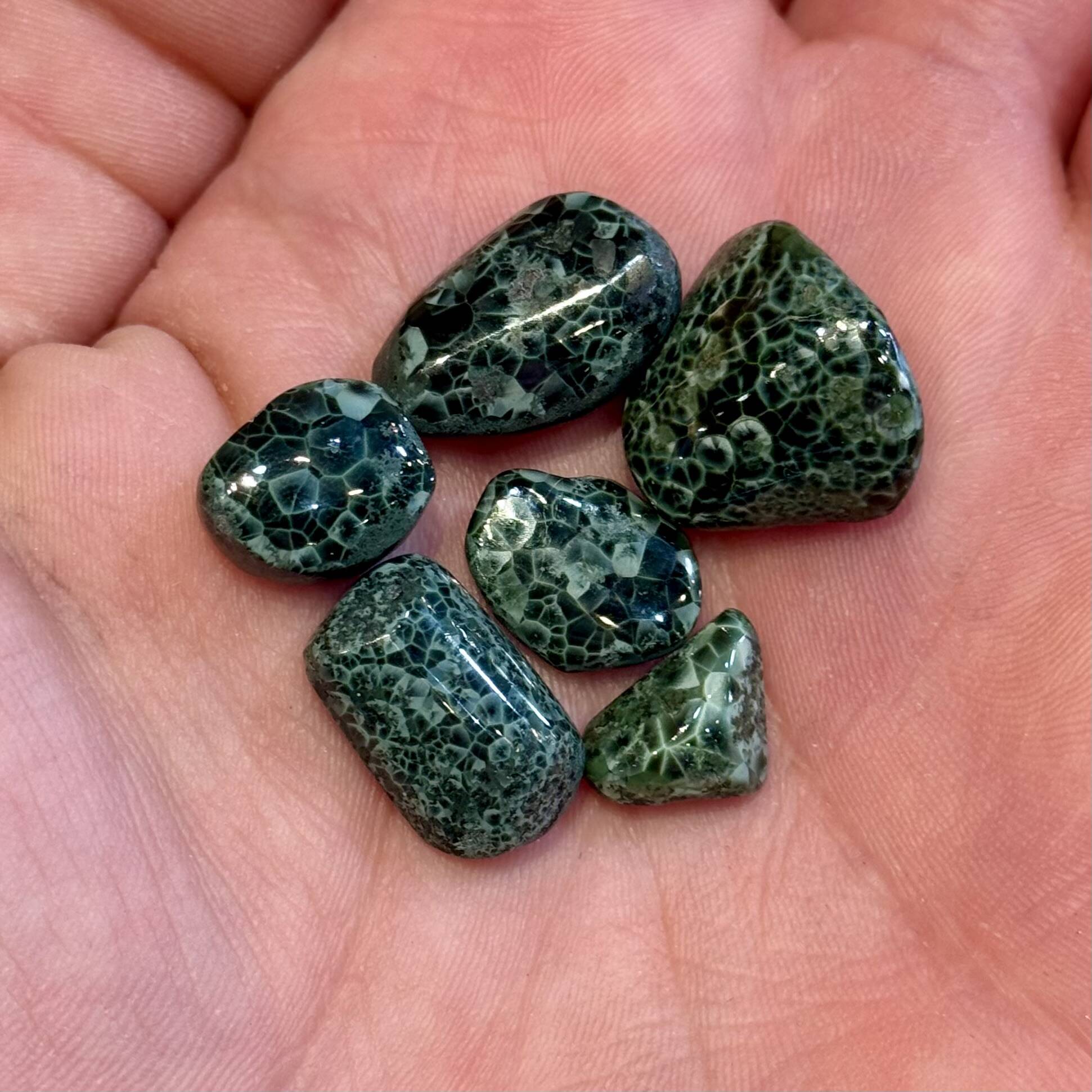 michigan greenstone also known as chlorastrolite is a gemstone steeped ...